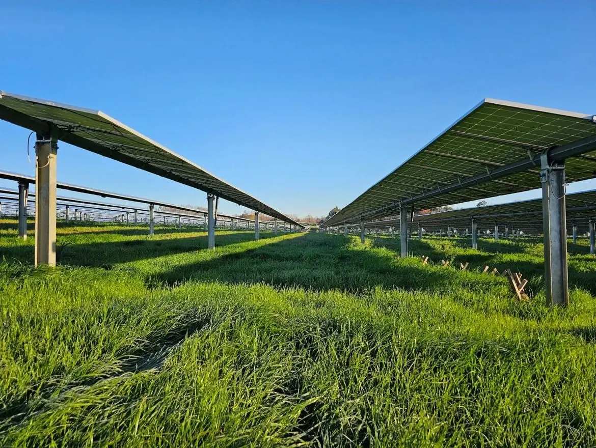 Frequently Asked Questions - Eco Express