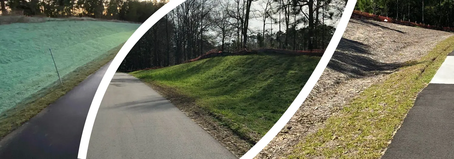 Eco Express Blog - Eco Express